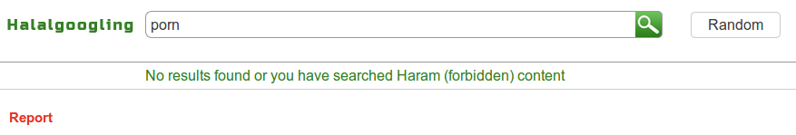 A Muslim search engine called ‘Halalgoogling’ has been launched ...