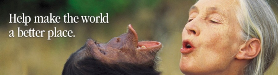 Wounda’s Journey: Jane Goodall releases chimpanzee and gets a hug ...