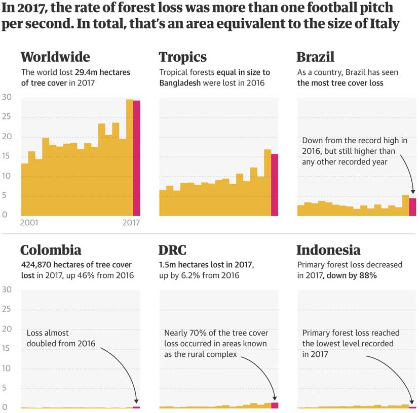 Rate of worldwide forest loss is truly shocking – Skeptical Science