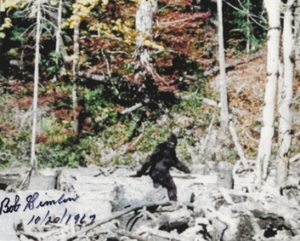Does Bigfoot really exist, what do we know? – Skeptical Science